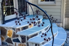 Realistic Natural Branch Railing - Compass Ironworks